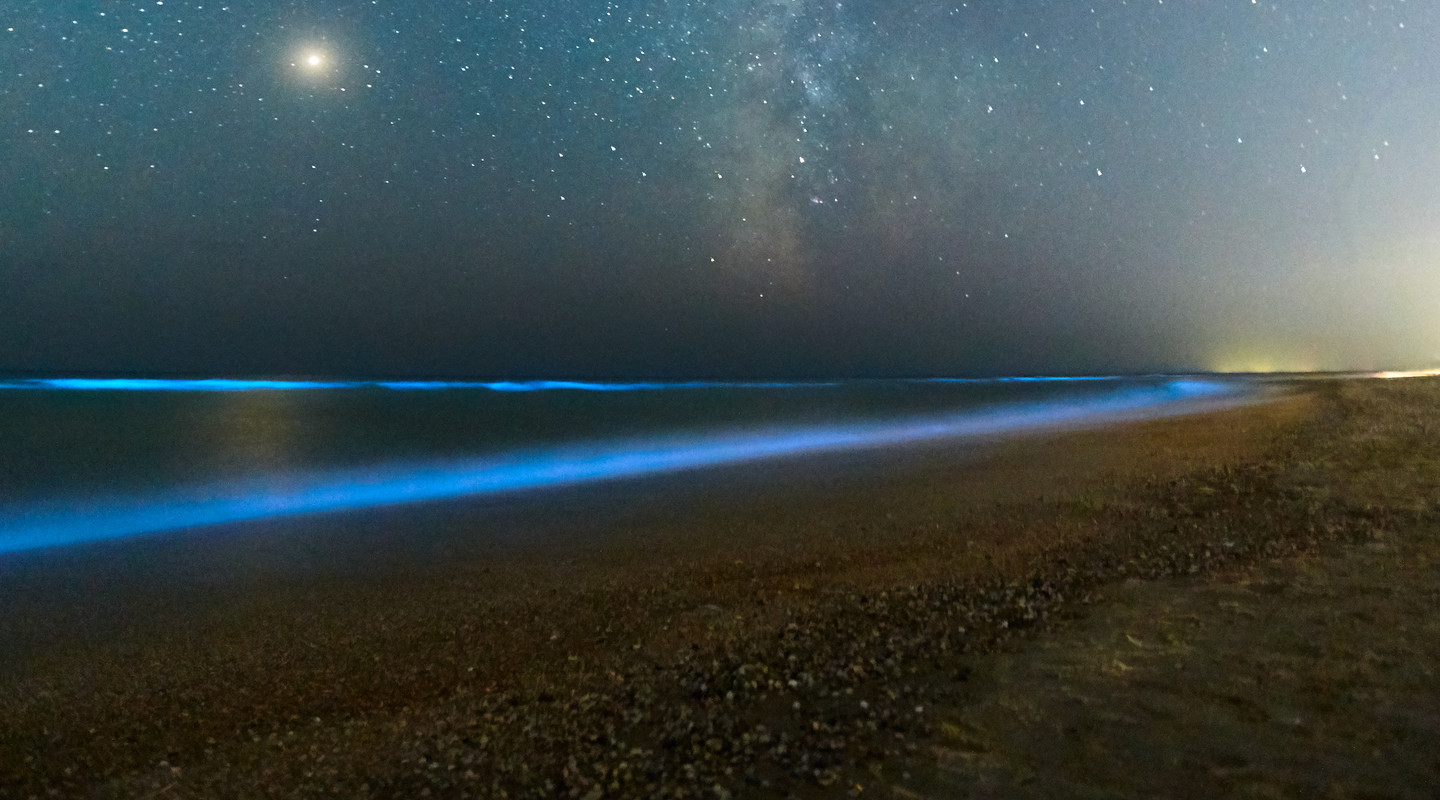 Lichtgevende golven door zeevonk | Natuurwijzer